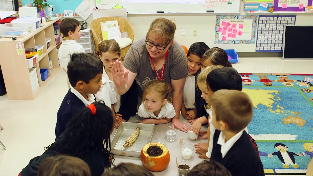 Imagine Schools Teacher Spotlight - YouTube