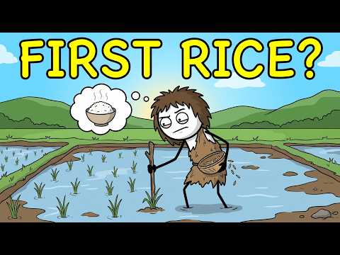 How Did Humans Invent Rice Farming?