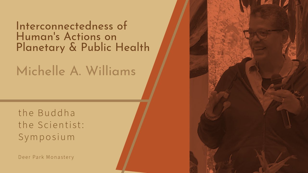 Interconnectedness of Human's Actions on Planetary & Public Health ...