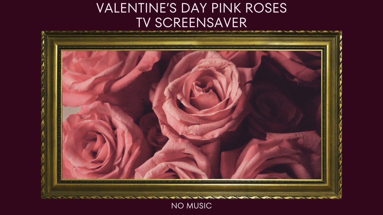 VALENTINES DAY ROSE Picture 4K with Frame TV screensaver video ...