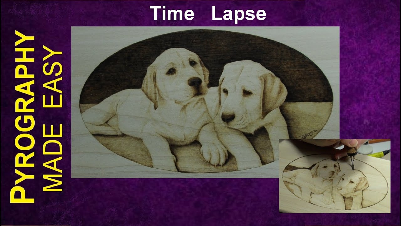 Pyrography Art Lab Puppies wood burning time lapse (yellow lab) - YouTube
