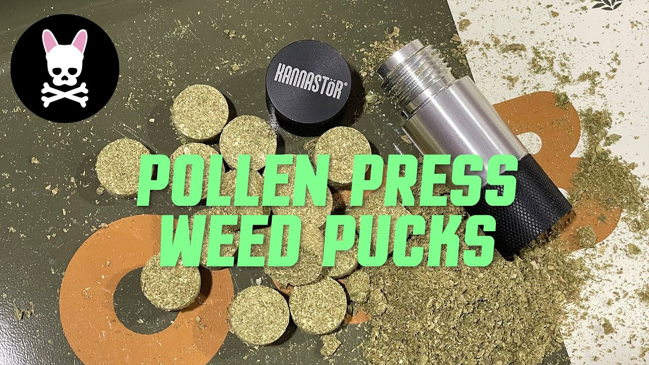 How To Make A Hash Puck From Grinder Kief With A Pollen Press - YouTube