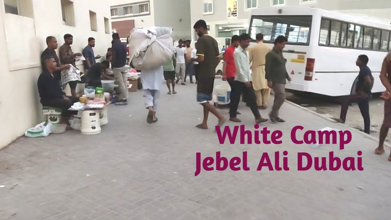 White Camp Jebel Ali! White Camp Dubai! Labour life Dubai @Growwsignal ...