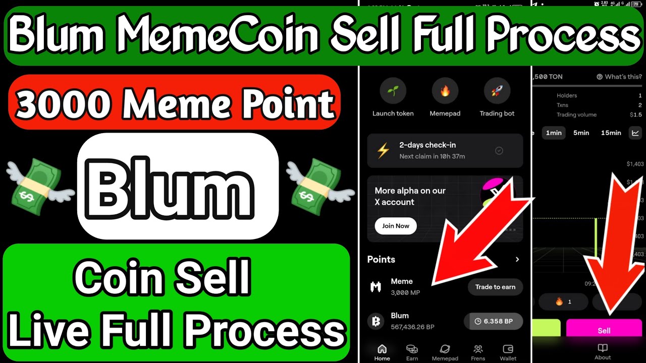 Blum Meme Coin Sell Full Process | Blum 3000 Meme Point kaisy Lain ...