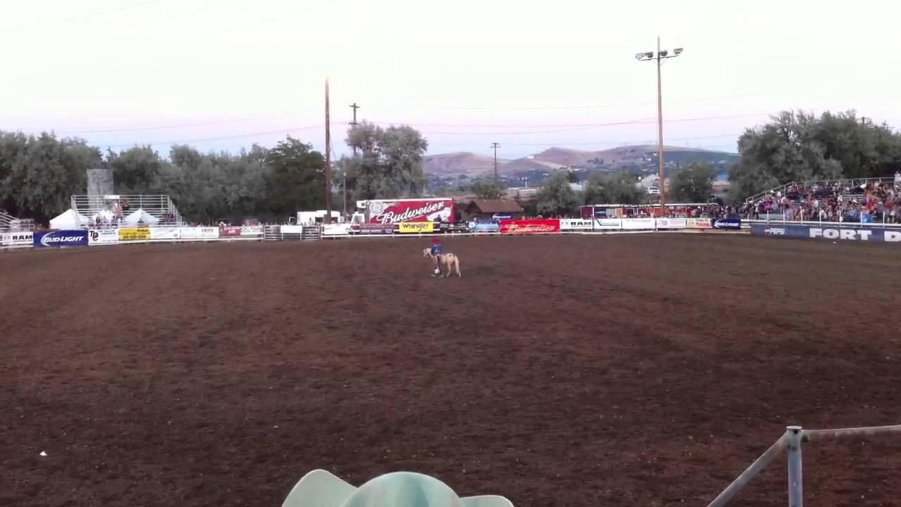 Fort Dalles Days Rodeo with TURBO the Smartest Horse - YouTube
