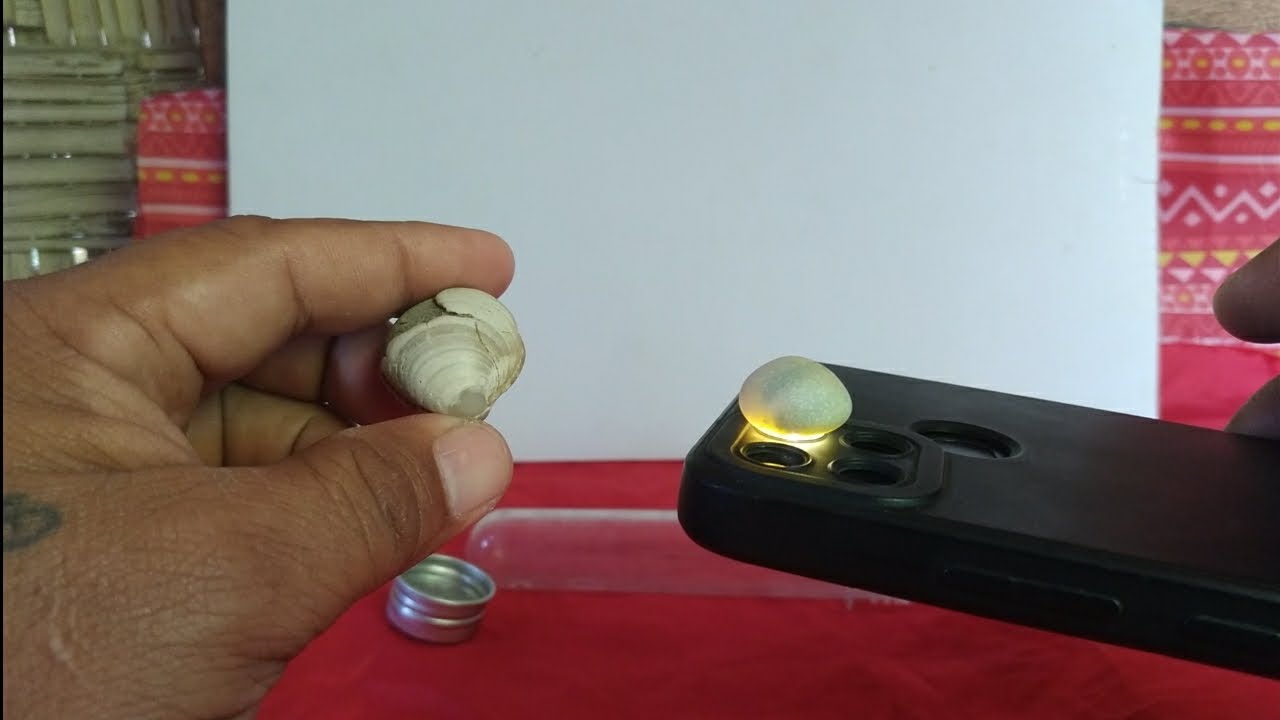 Laman ng Litob na shell naging bato at fossillized na.parang perlas ...