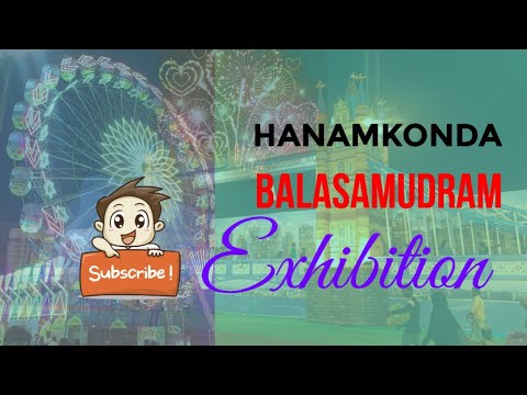 Hanamakonda Balasundaram expression 2024 | Warangal exhibition | # ...