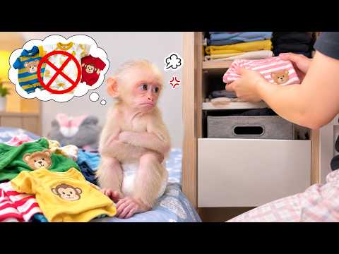 Monkey Bobo is sulking and unhappy because Mom put away all her clothes!