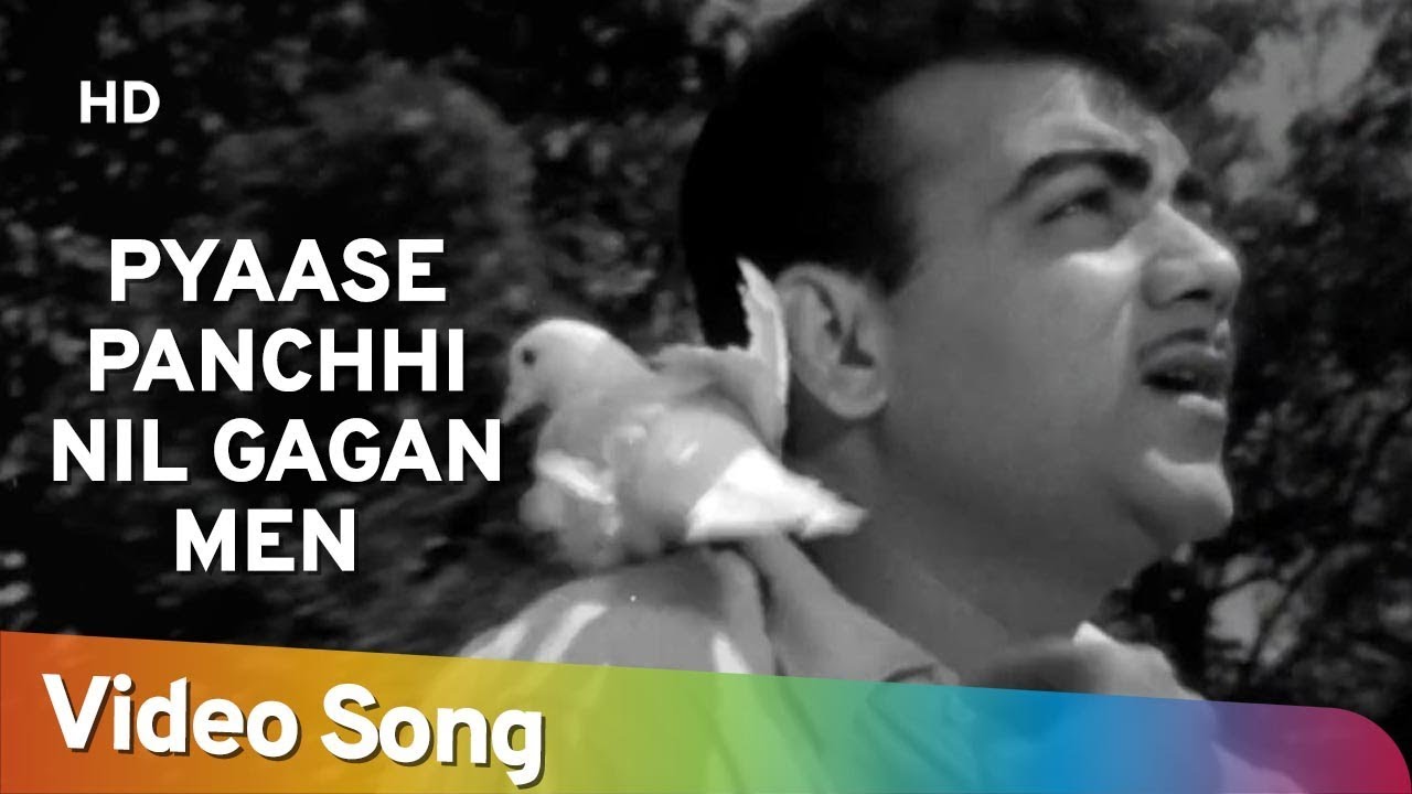 Pyaase Pachhi Neel Gagan Mein | Pyase Panchi (1961) | Mehmood | Ameeta ...