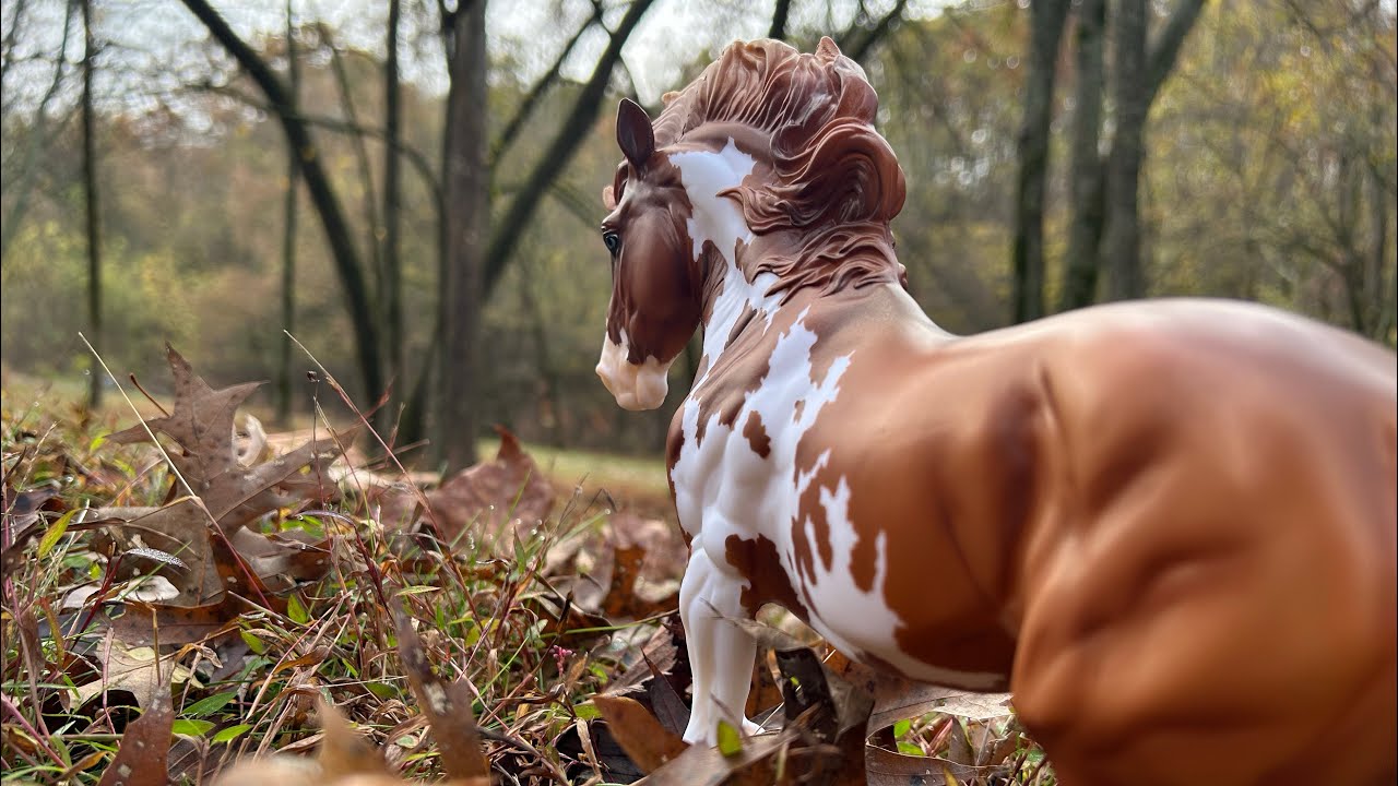 Realistic Breyer and Schleich Photos November 2024 - YouTube