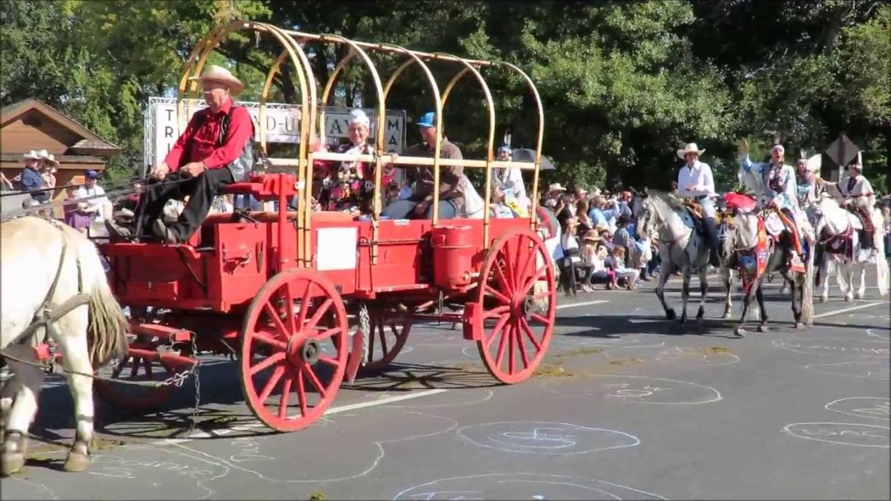 2016 Pendleton Round-Up Parade Part 1 Horse & Mule Drawn Wagons ...