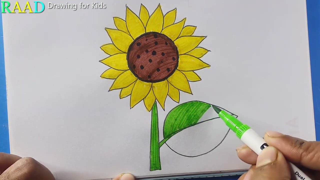 Sunflower Drawing For Kids