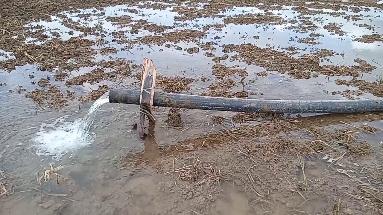 RICE FARMING | Water pumping - YouTube