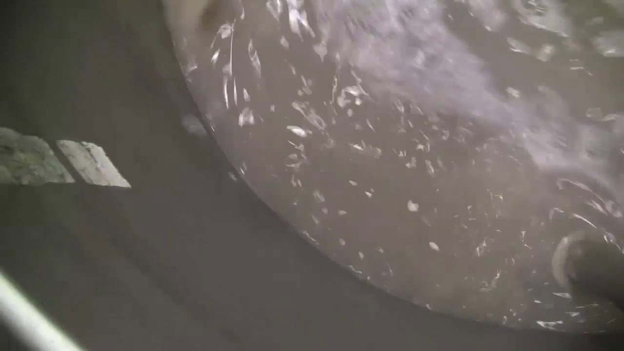 Admix Pectin Dispersion with Fastfeed - YouTube