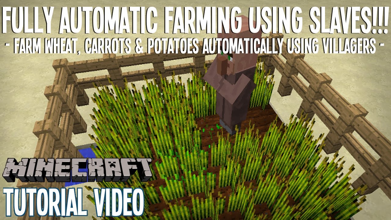 Fully Automatic Farm Tutorial - Wheat, Carrots & Potatoes - Minecraft ...