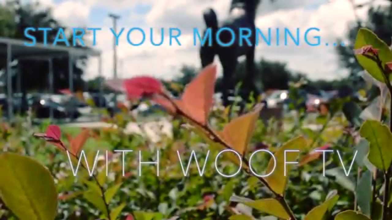 WOOF TV - Studio Montage Intro - YouTube