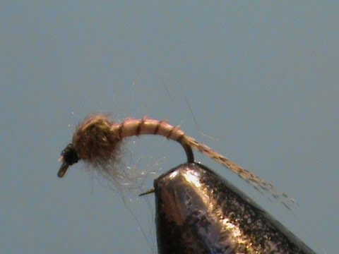 Fly Tying a Biot WD-40 with Jim Misiura - YouTube