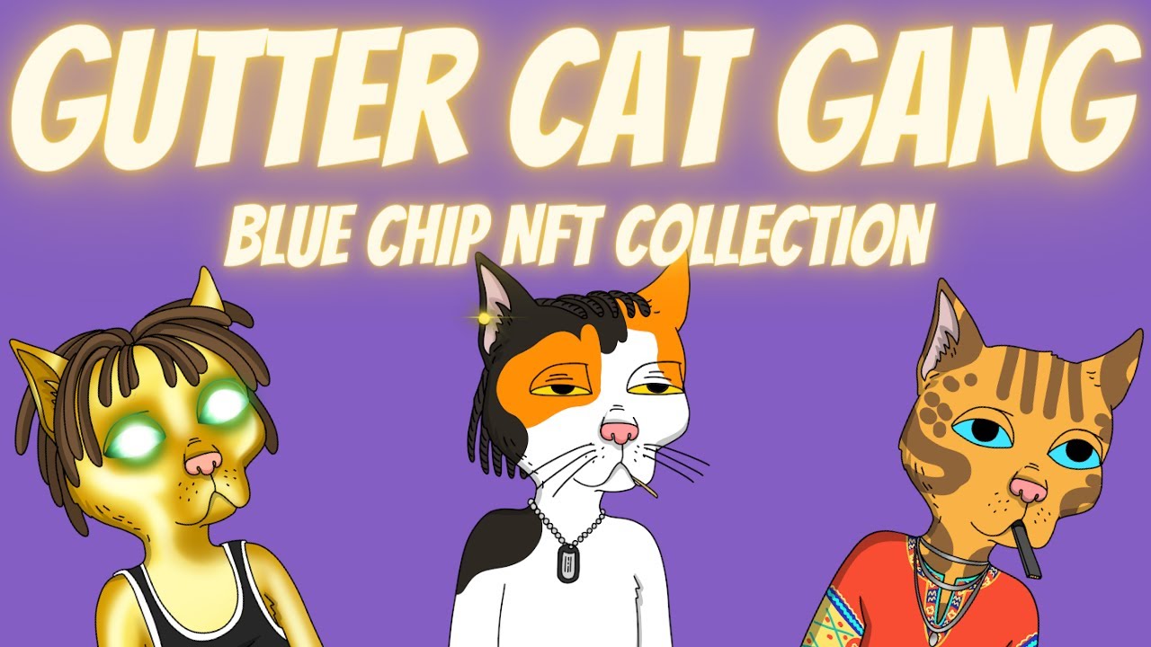 GUTTER CAT GANG - Established OG NFT Project That Should Be on Your ...