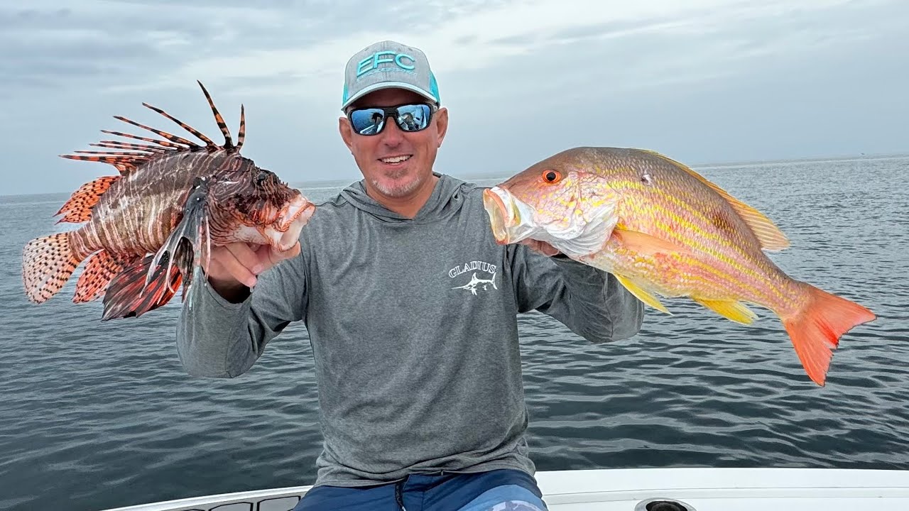 Giant Lane Snapper vs Venomous Lionfish Catch Clean & Cook - YouTube