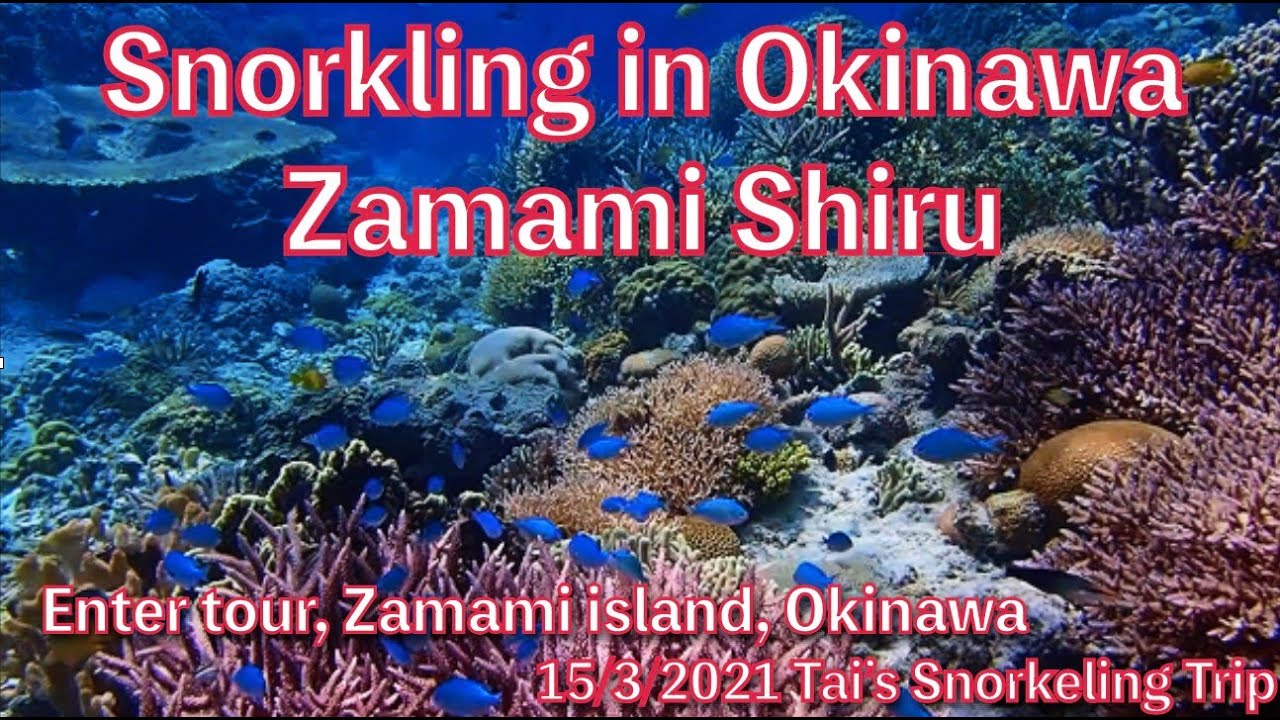 29 Tai’s Snorkeling Trip in Okinawa】 Zamami Shiru, Zamami island ...