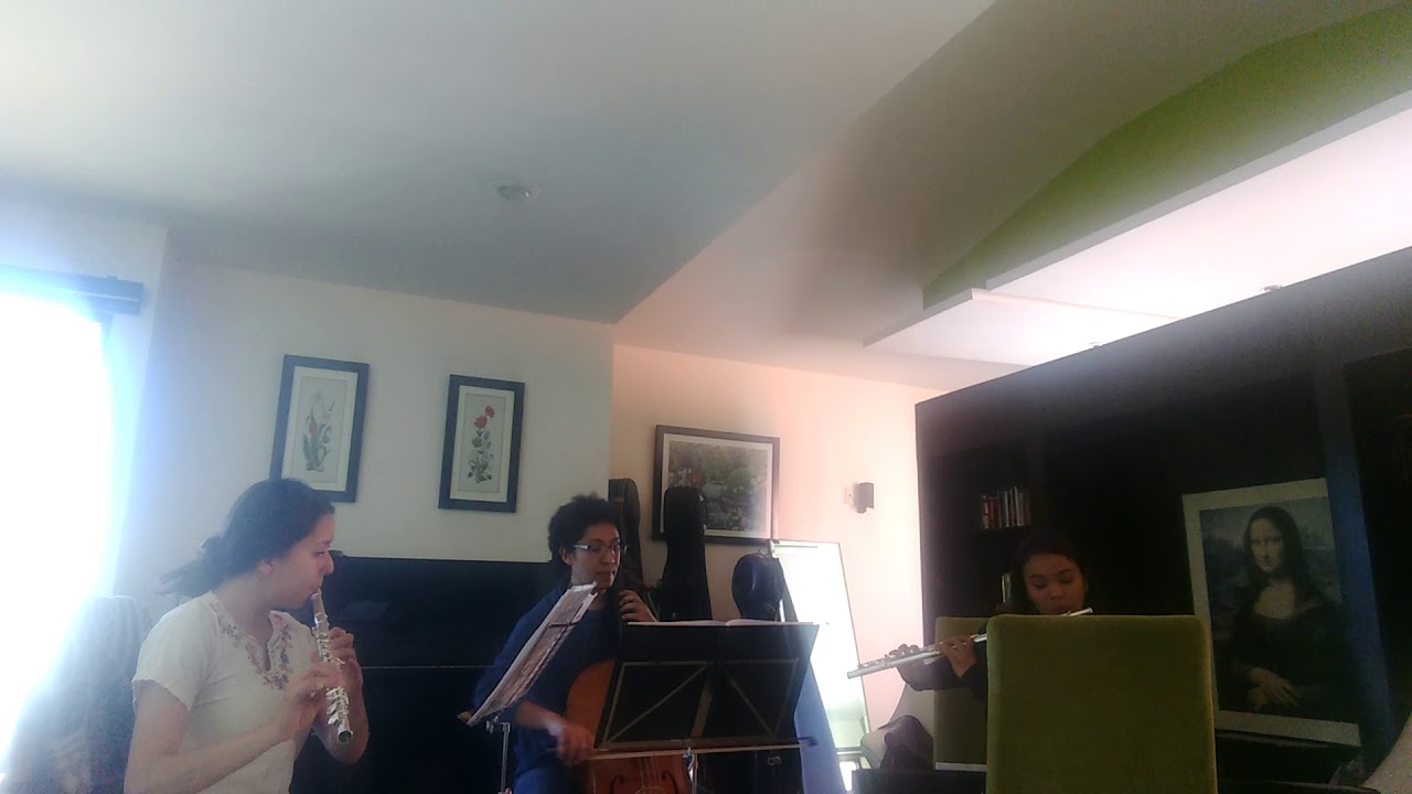 Trio de Carl Philip Emmanuel Bach - YouTube