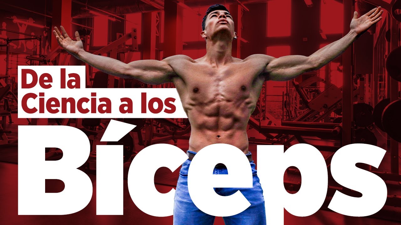 ¿Cómo ENTRENAR BÍCEPS en el GYM? // De la ciencia a los bíceps // JC ...