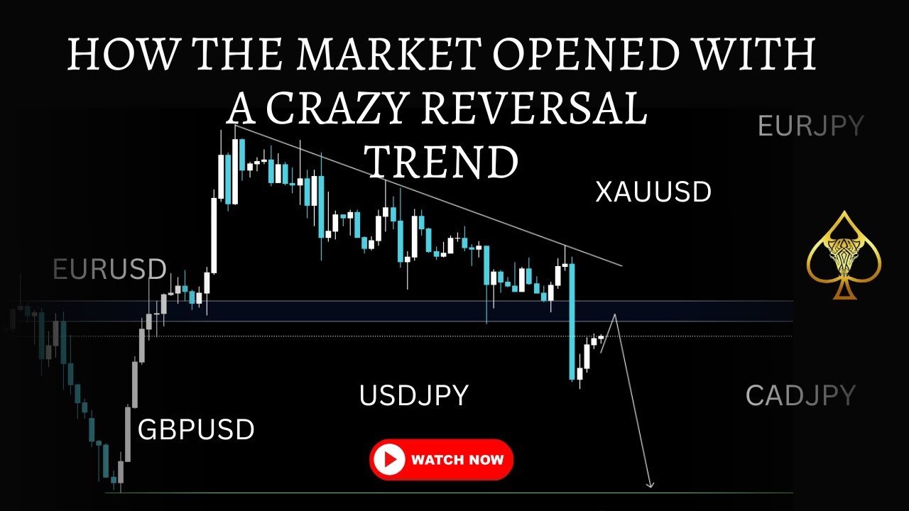 HOW THE FOREX MARKETS OPENED WITH A CRAZY REVERSAL MOMENTUM TREND ...