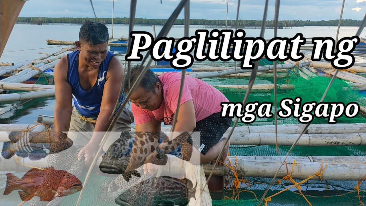 Paglilipat ng mga sigapo#Boss Randy#Boss Emer#Boss Dolfo - YouTube