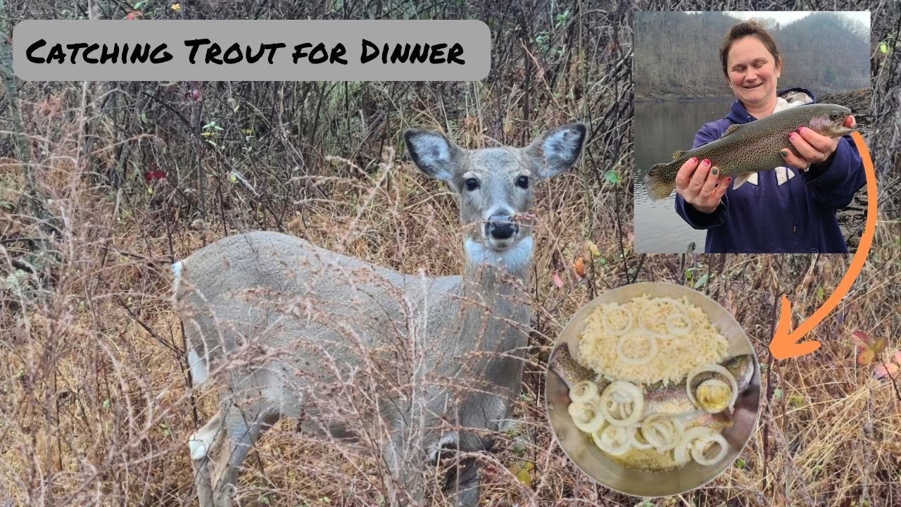 Trout Fishing Wolf Creek Dam - YouTube