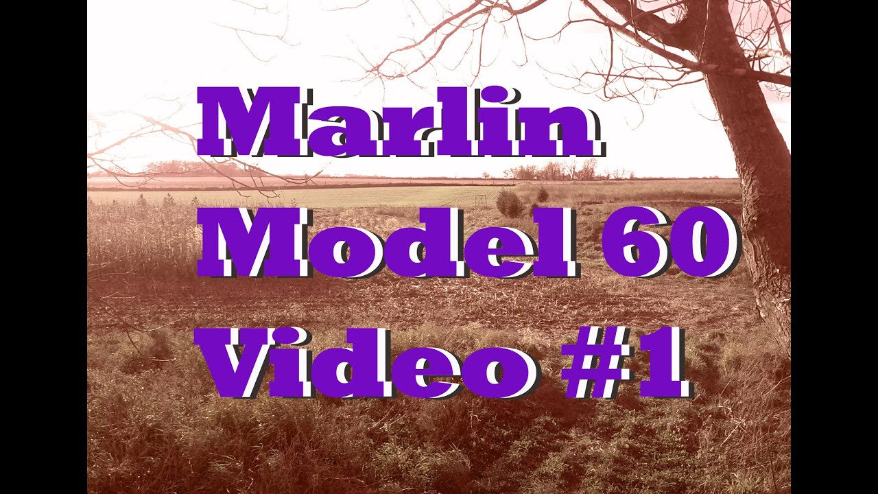 Marlin Model 60: A brief breakdown/ disassembly - YouTube