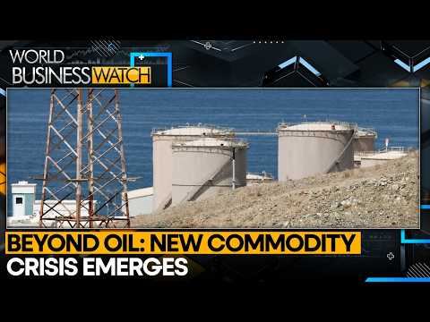 Sulphur Shock Disrupts Global Metals Pipeline | World Business Watch 2026 | WION