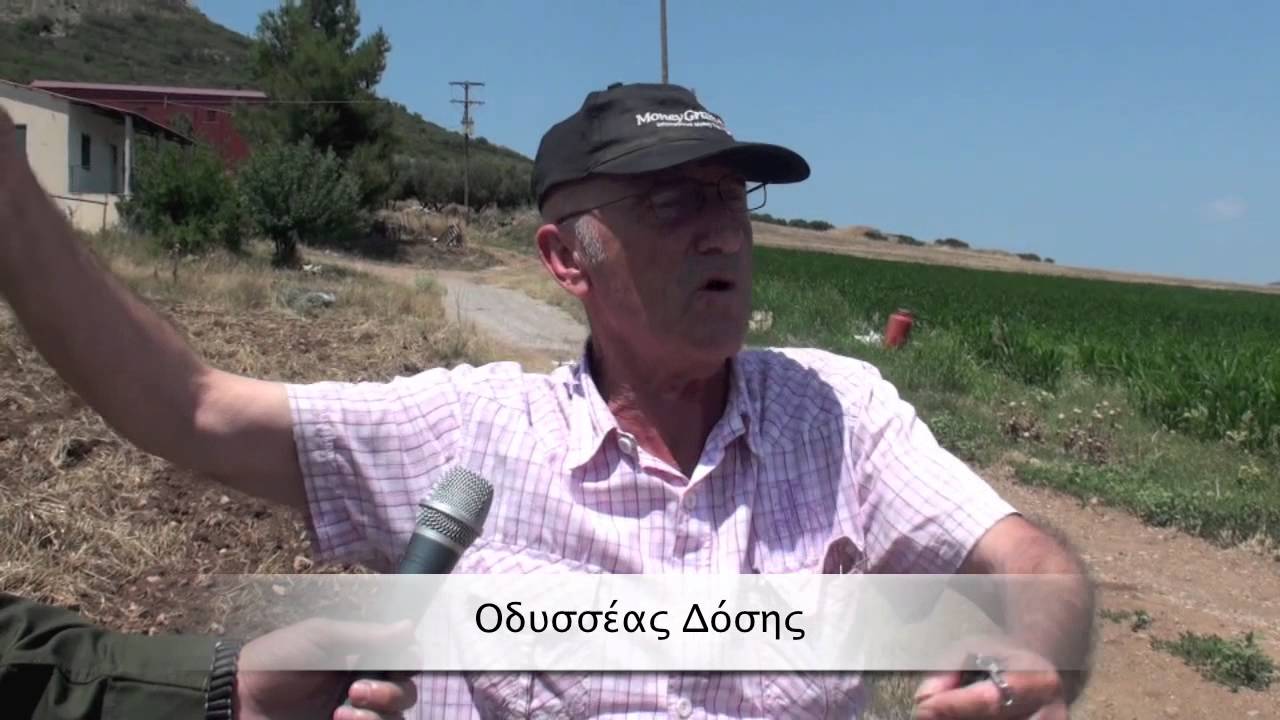 λυκοι στη βοιωτια - YouTube