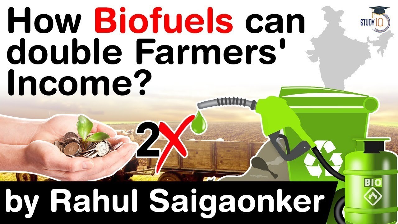 Status of Biofuel in India - Biofuels can double farmers' income says ...