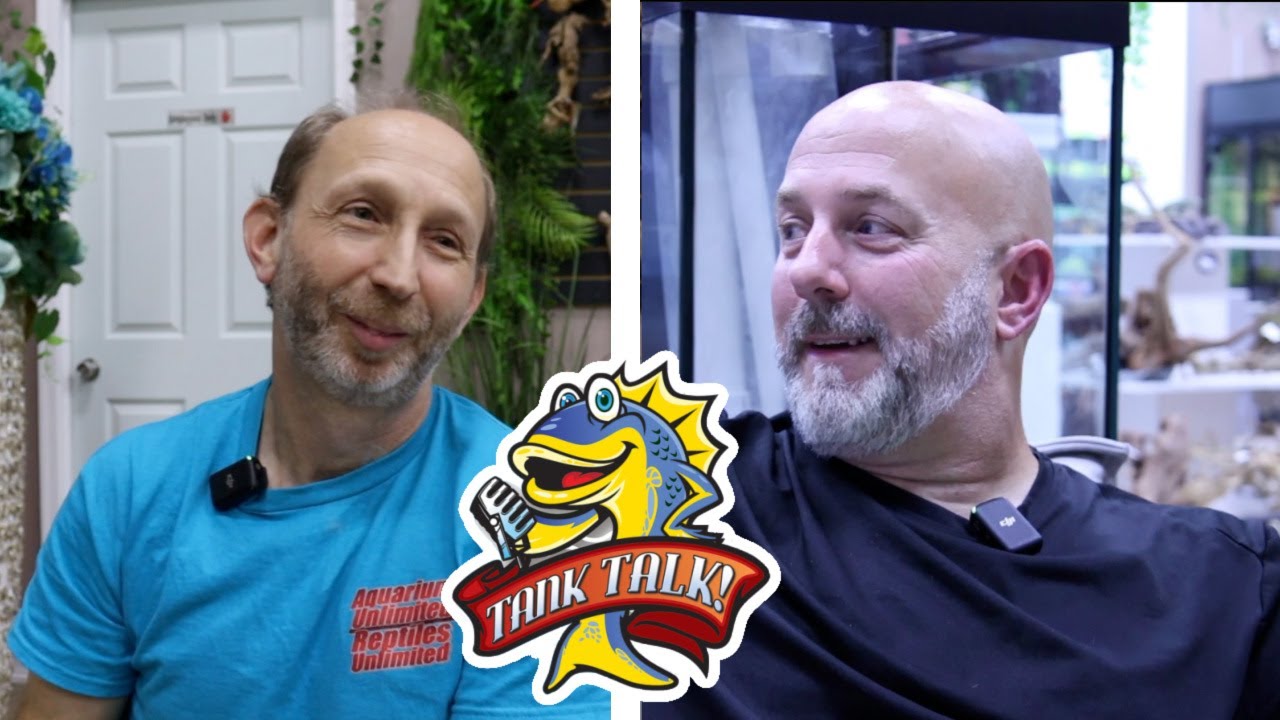 This Man Owns The Nicest Aquarium Store On Earth! Tank Talk Episode 16 ...