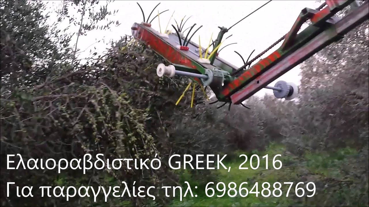 Ελαιοραβδιστικό 'GREEK', 2016 (3) - YouTube