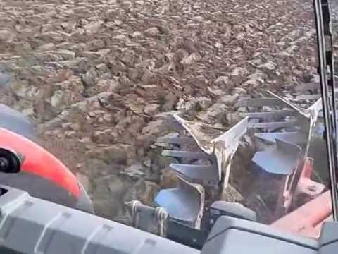 Aratura 2013 : Massey Ferguson 8660 con Quadrivomere Niemeyer (3)