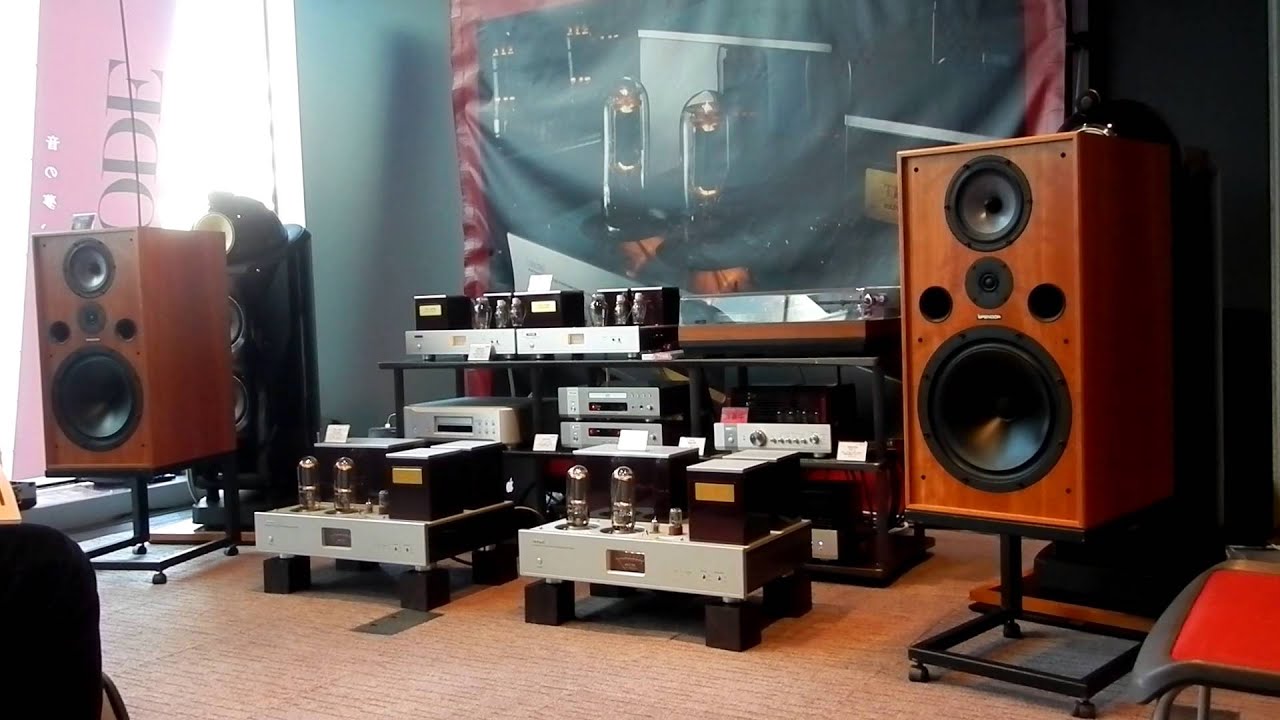 Triode TRX-M845 & SP100R2 - YouTube