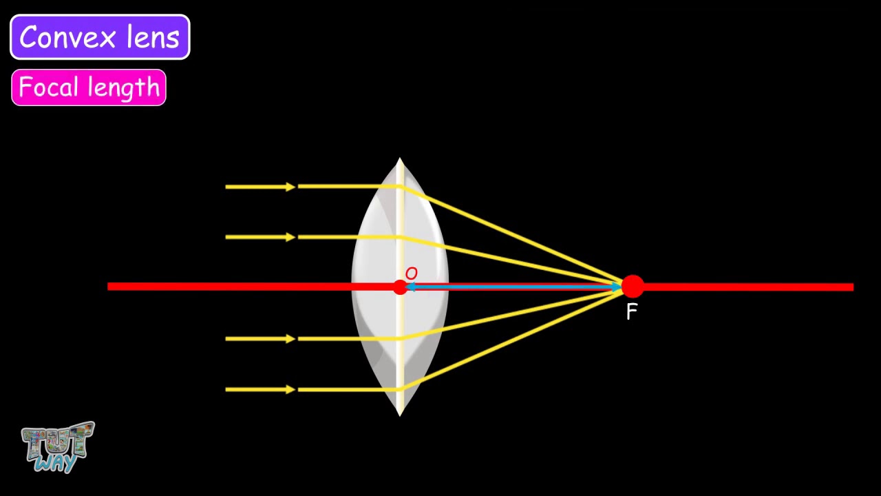 Convex lens (part 1) | Science|Grade-7,8| Tutway| - YouTube