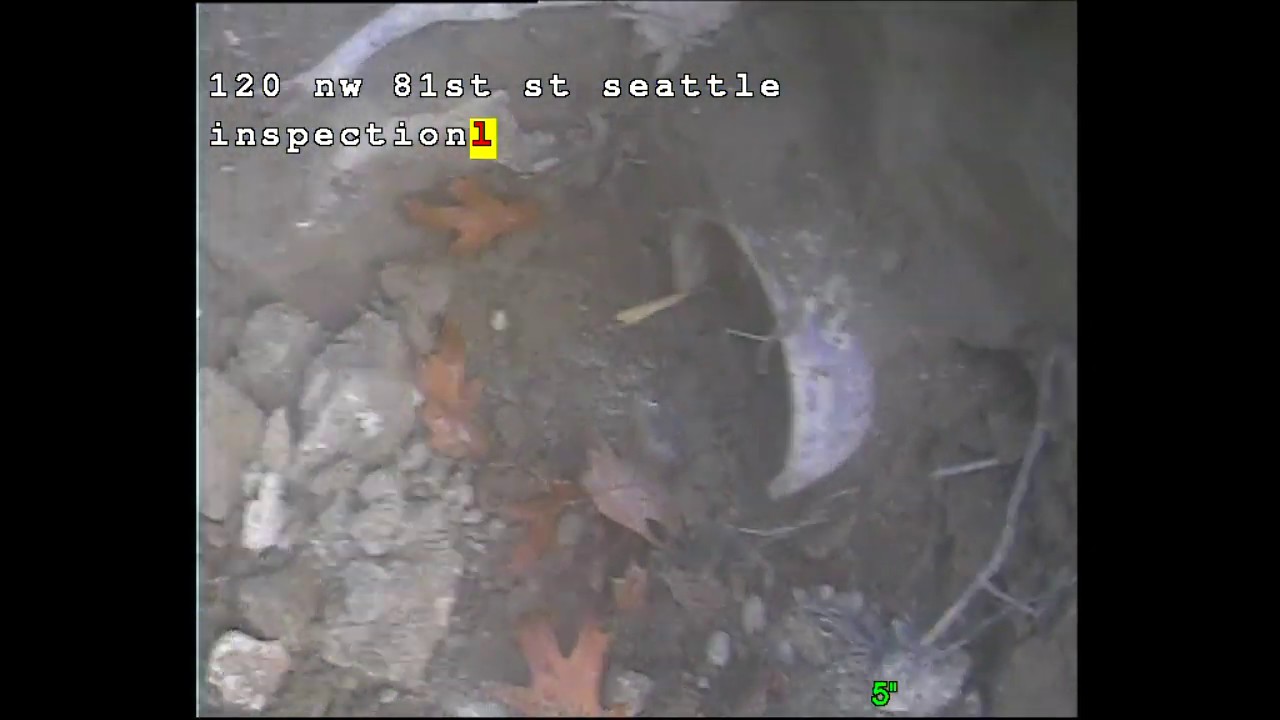 Seattle Sewer Pipe Inspection 120 NW 81st St - YouTube