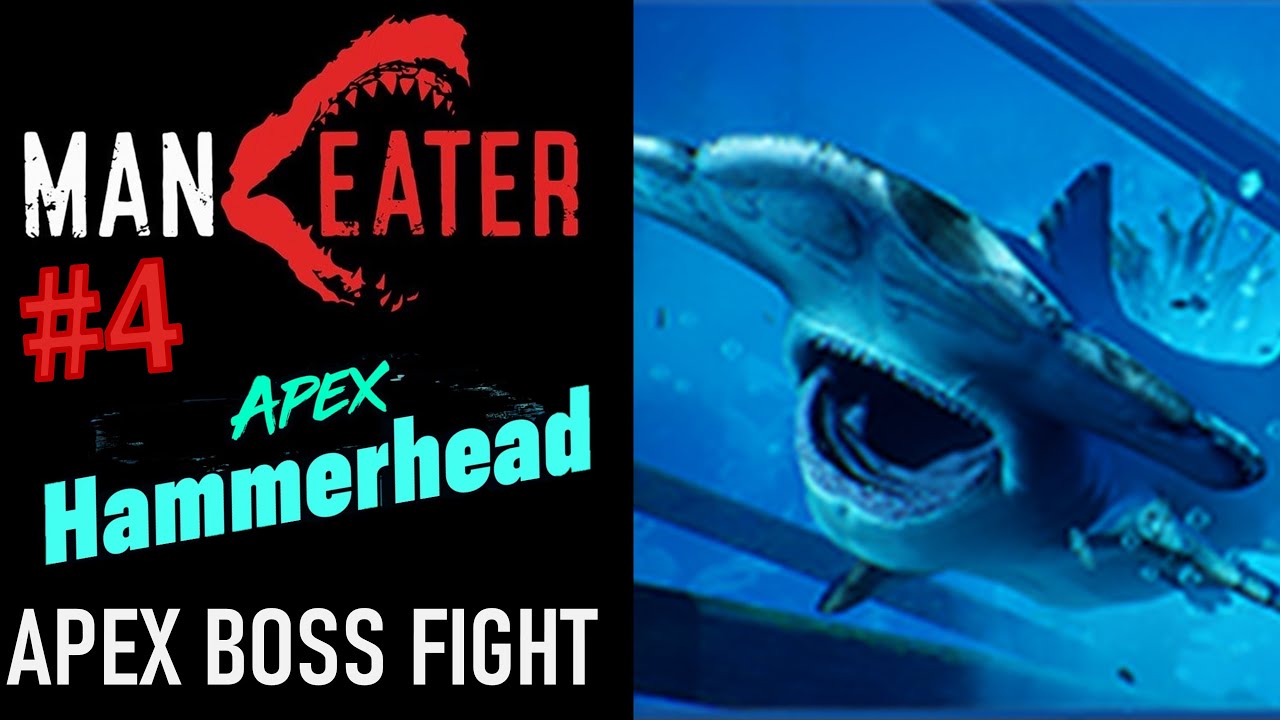 Apex Hammerhead - 4th APEX BOSS FIGHT | Maneater - YouTube