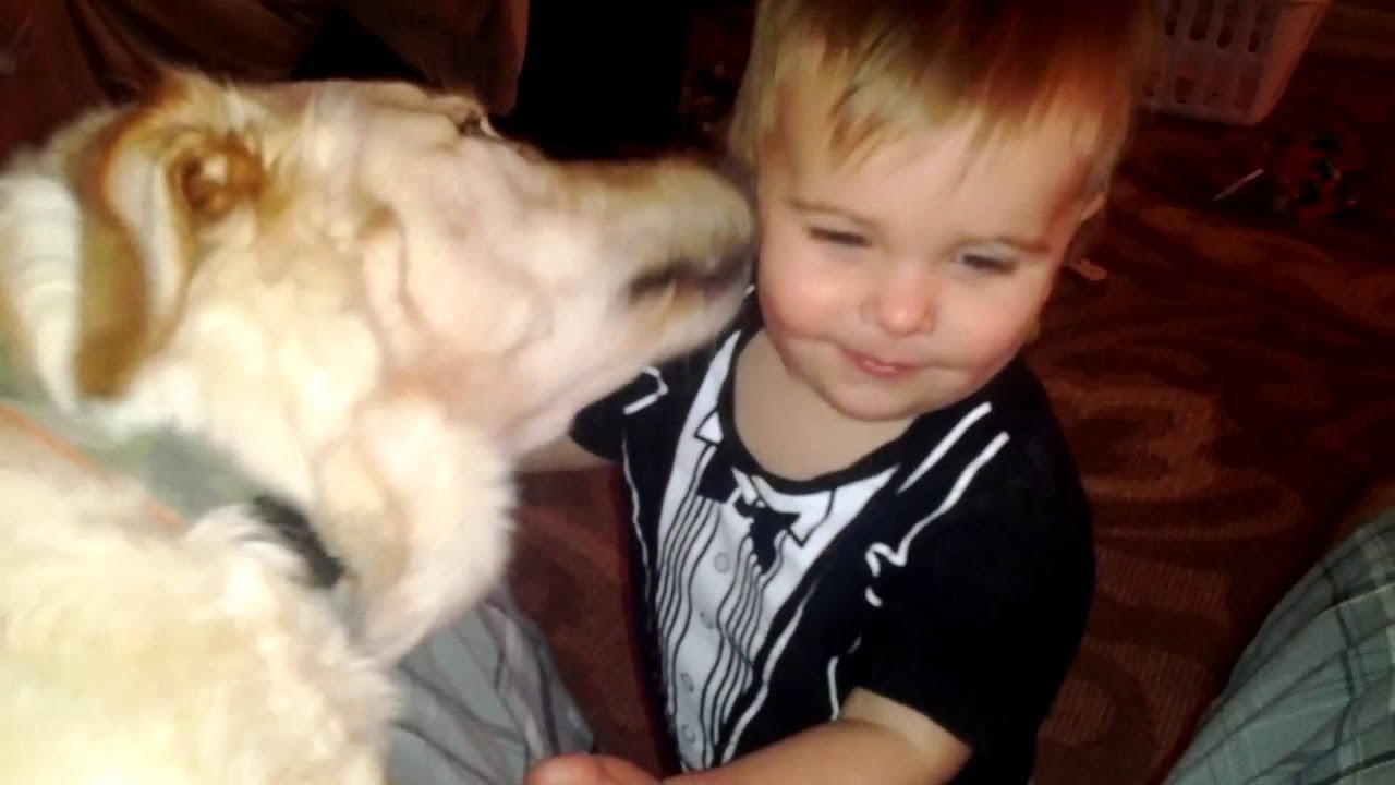 Puppy Love - YouTube