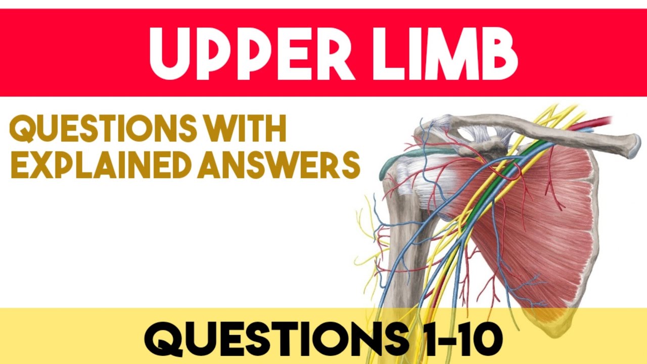 Anatomy Upper Limb | Questions 1-10 with explained Answers - YouTube