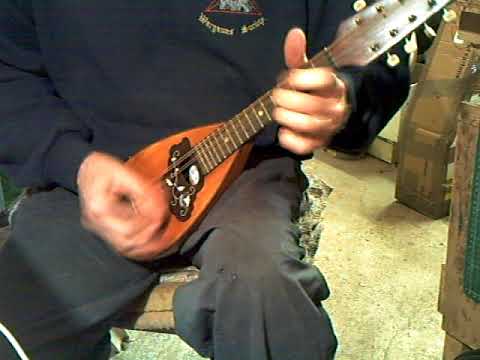 679 pocket mandolin - YouTube
