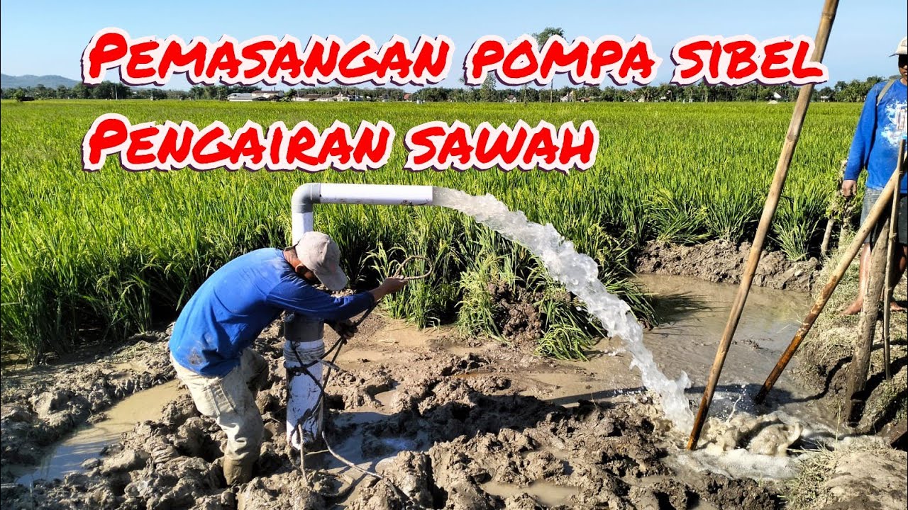 pompa sibel...pengairan sawah - YouTube