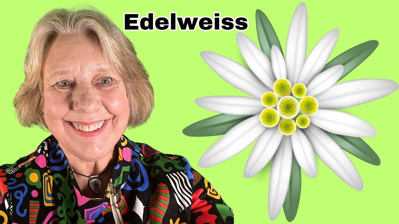 Edelweiss Lullaby | Soothing Bedtime Song | Ziggity Zag Music - YouTube