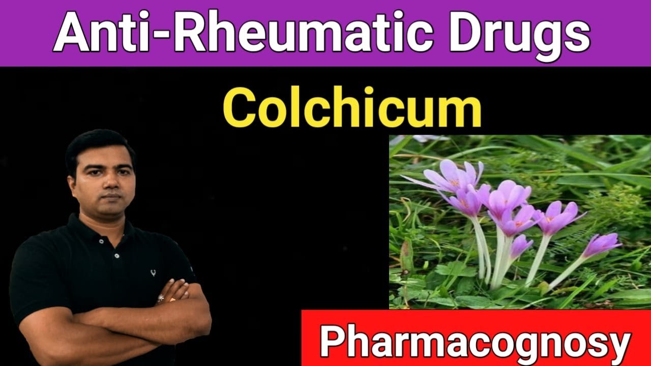 Anti-Rheumatic Drugs (Colchicum) pharmacognosy - YouTube