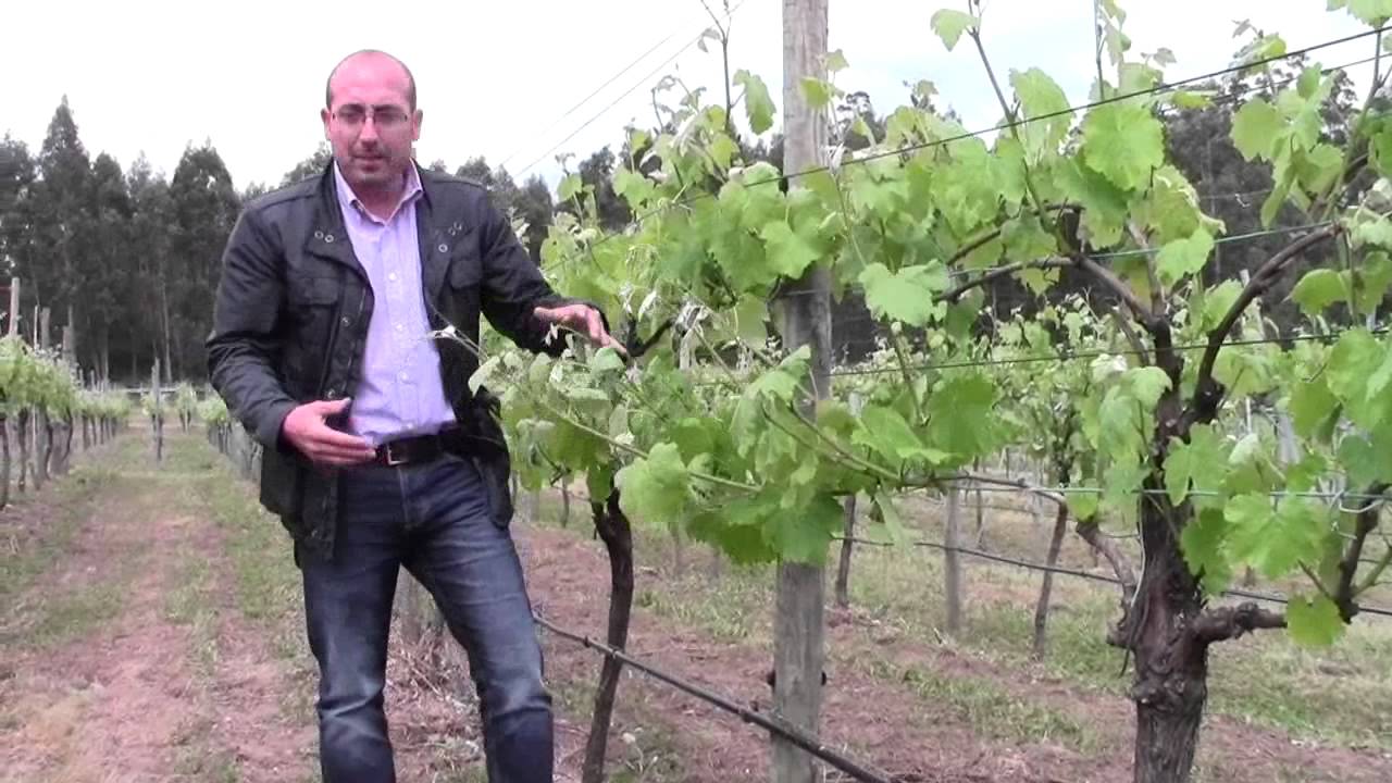 Sistemas de conducción. Scott Henry - YouTube