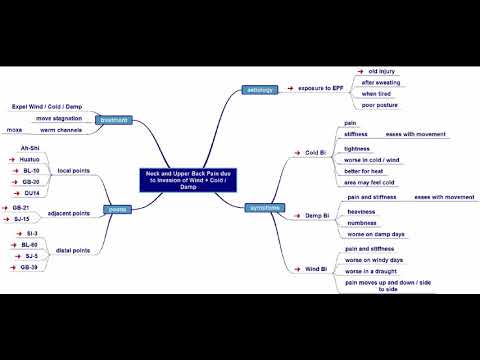 Neck and Upper Back Pain - invasion of Wind-Cold and Wind-Damp - YouTube