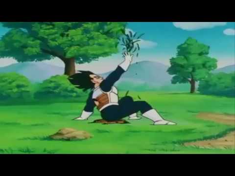 Vegeta Rindo da Porra Toda - Dragon Ball Z - YouTube