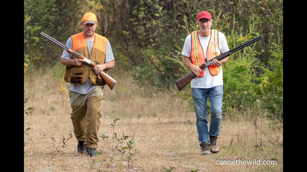 Upland Bird Hunting, Grouse Camp, Partridge, North Maine Woods - YouTube